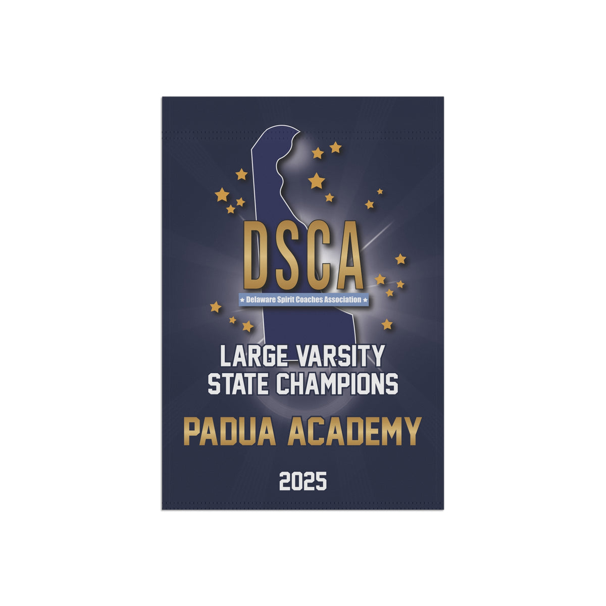 DSCA Mini Banner – SubZero Cheerleading